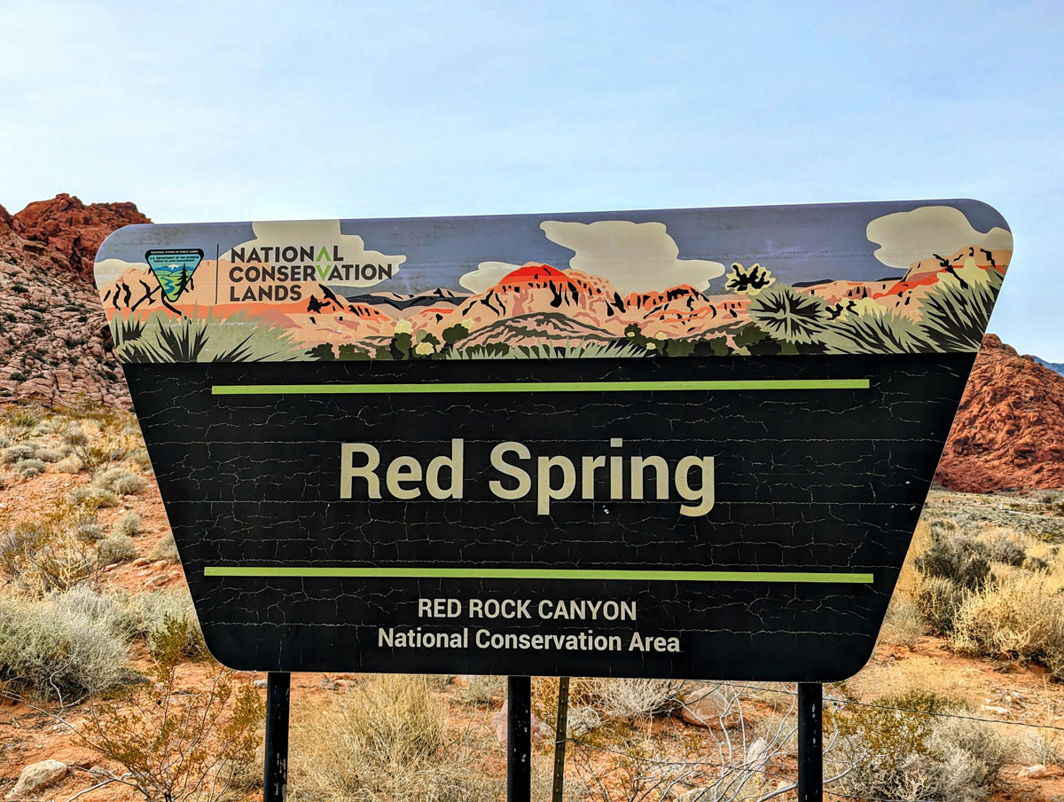 Exploring the Red Spring Picnic Area in Calico Basin - Access Vegas